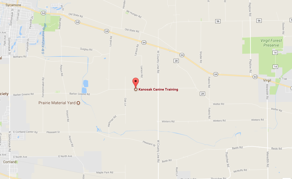 Beware Road Construction! - Kanosak Canine Training